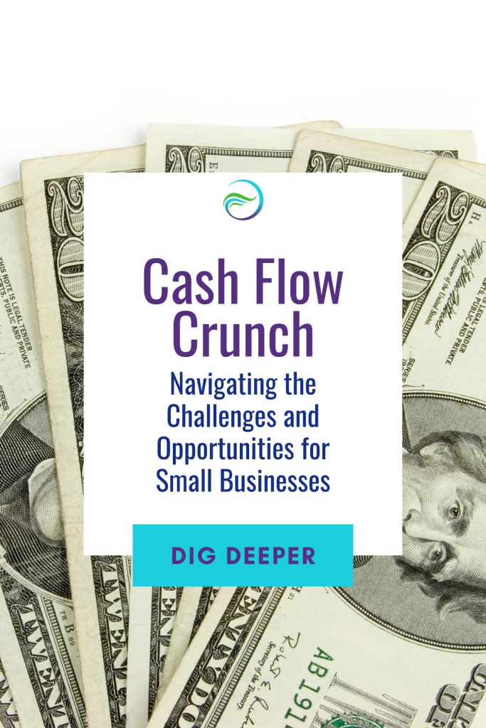 Cash Flow Crunch: Navigating the Challenges and Opportunities for Small ...